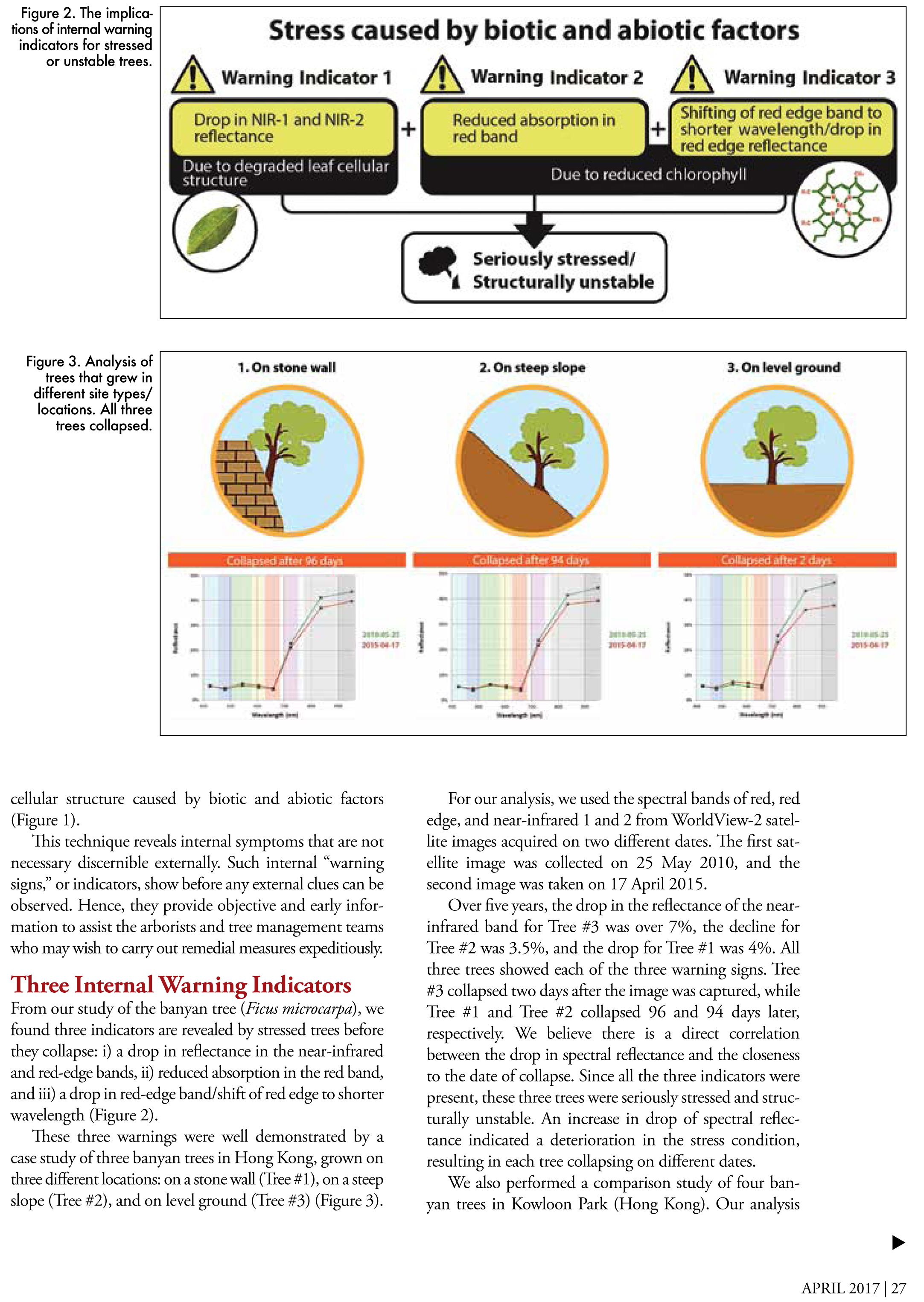 A New Technology Warns of Stressed Trees by K.N. Au